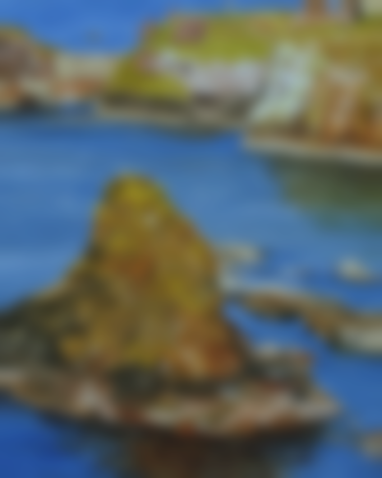 Castle – Dunbar History Society