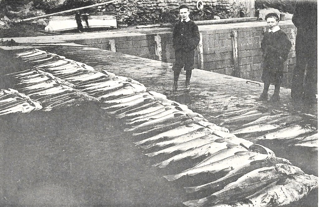 More views of Dunbar – Dunbar History Society